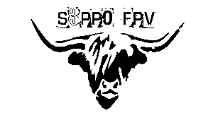 S3ppo FPV - brainfpv